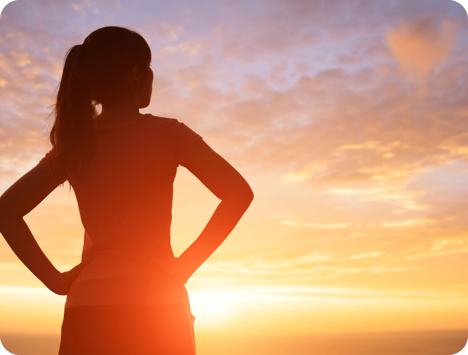 Looking Back on 2023 and Ahead to 2024 | Newman’s Own Foundation ...